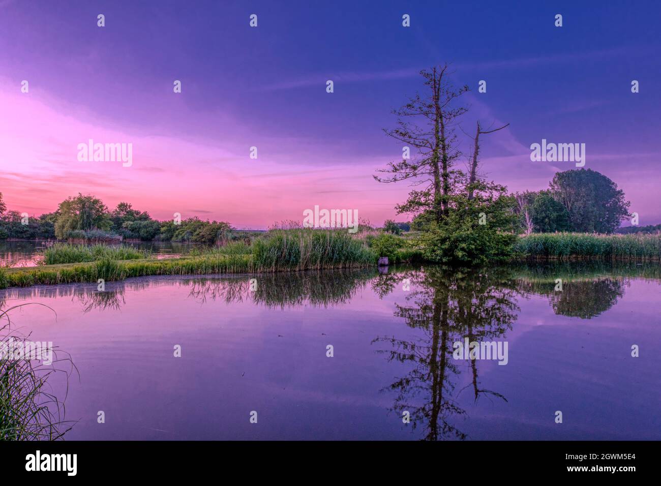 A close up shot of a beautiful natural view in a park with a small lake ...