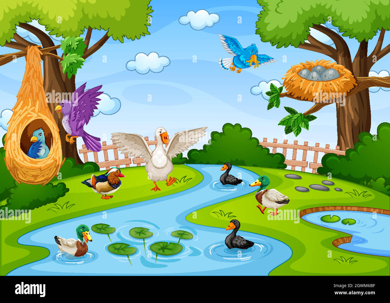 Stream in the forest scene with many birds Stock Vector Image & Art - Alamy