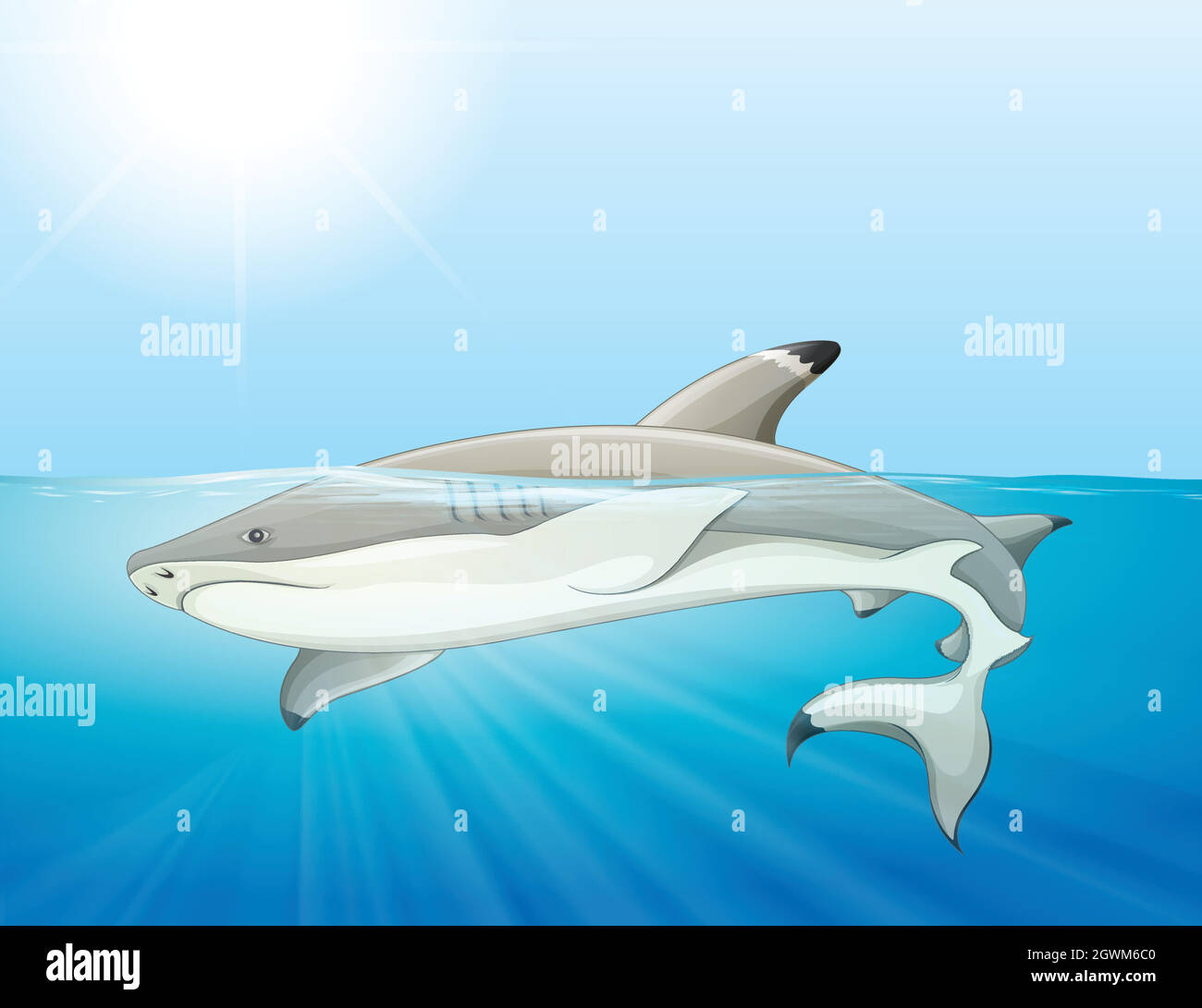 Swimming With Sharks Clipart