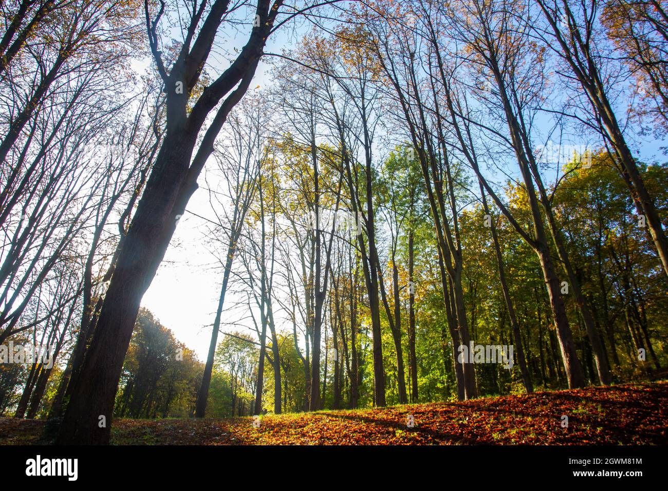 Estate of saint claud hi-res stock photography and images - Alamy