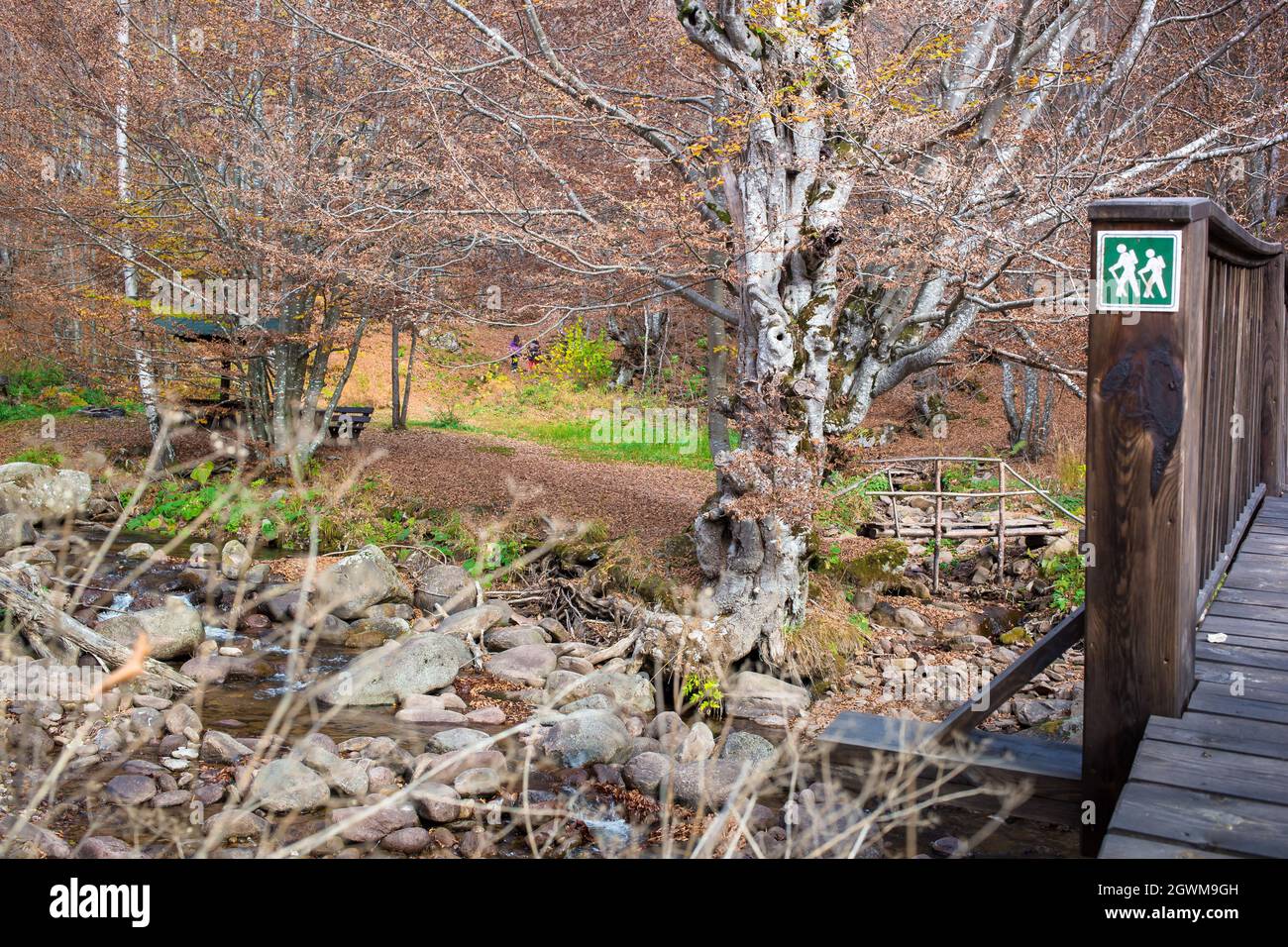 Symbol of wilderness hi-res stock photography and images - Alamy