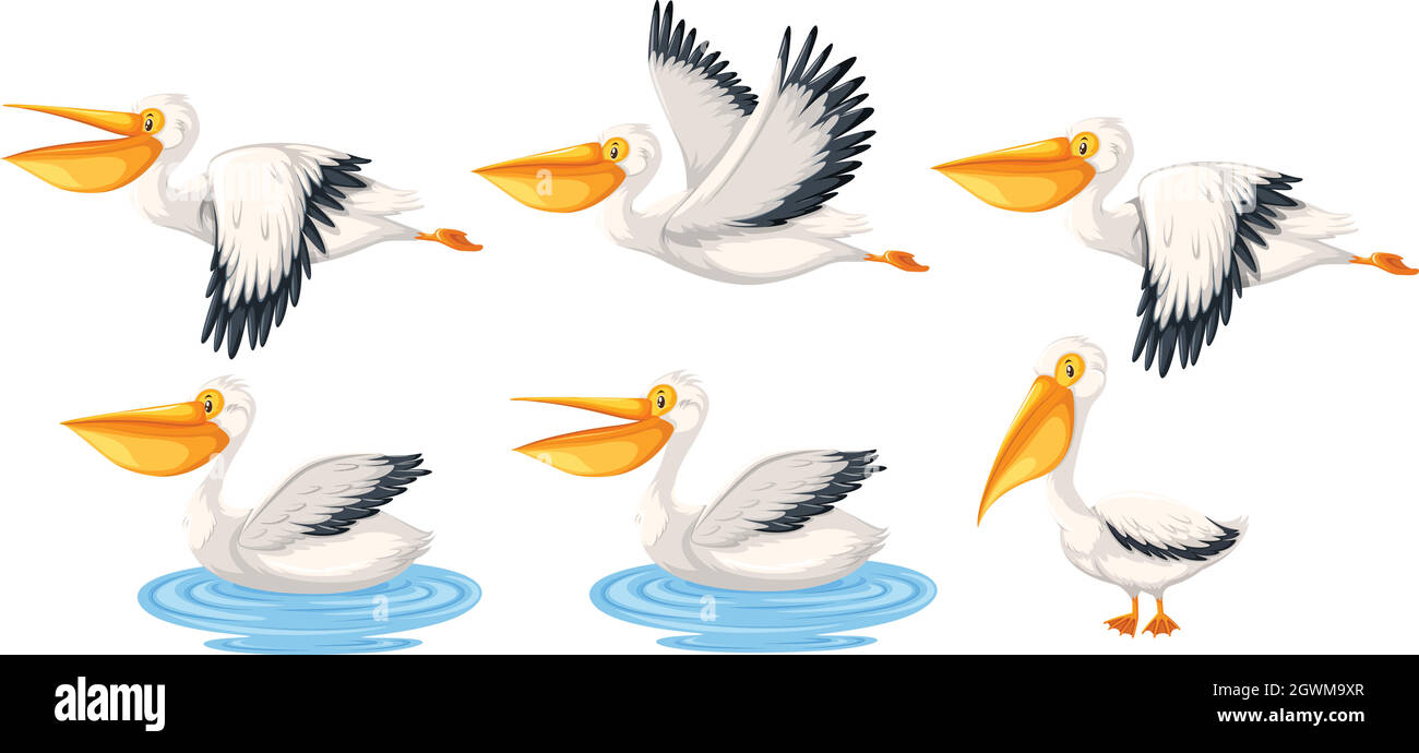 Set of pelican character Stock Vector Image & Art - Alamy