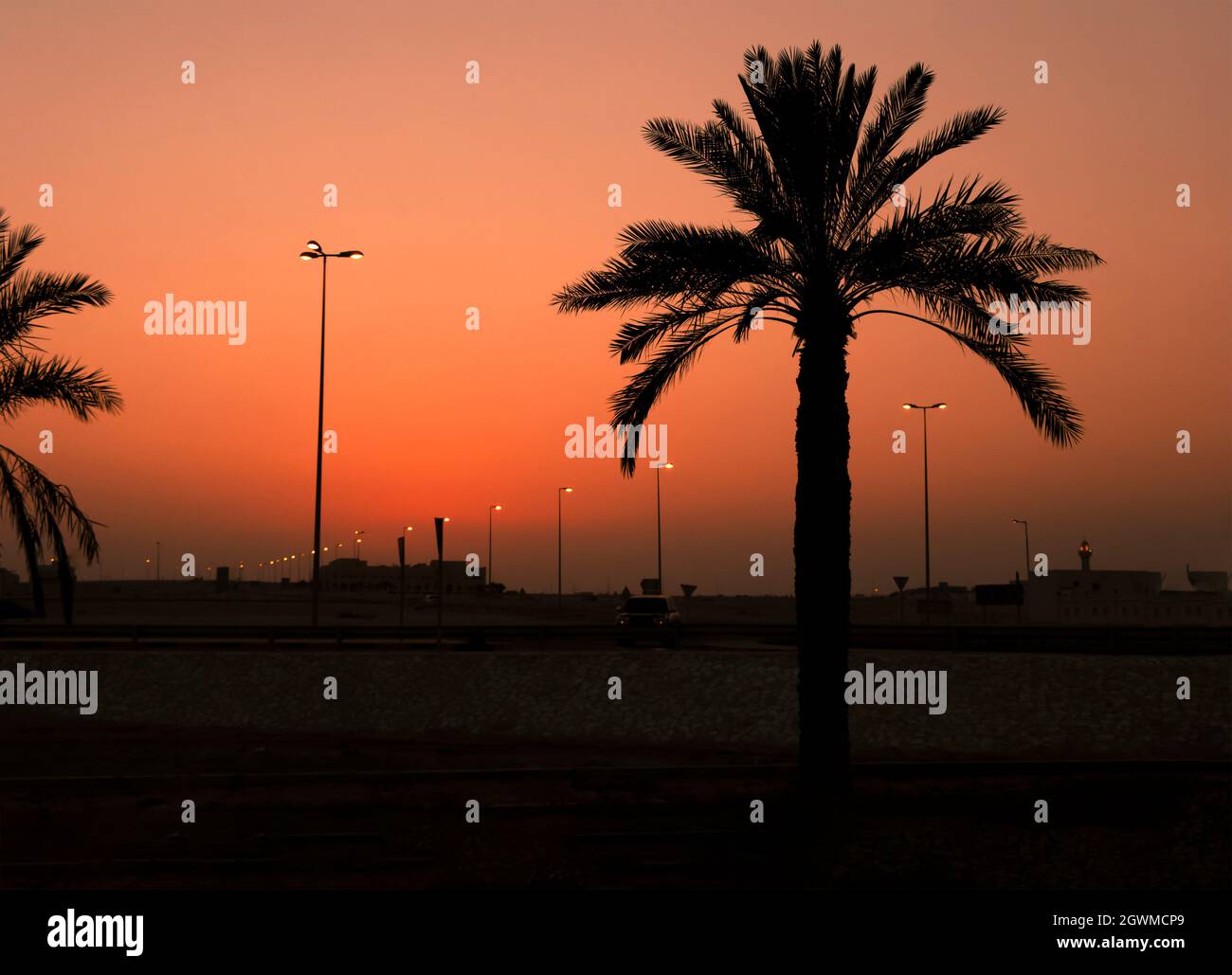 Palm Tree And Street Lights In Dark Sunset. Photo Taken From Bahrain ...