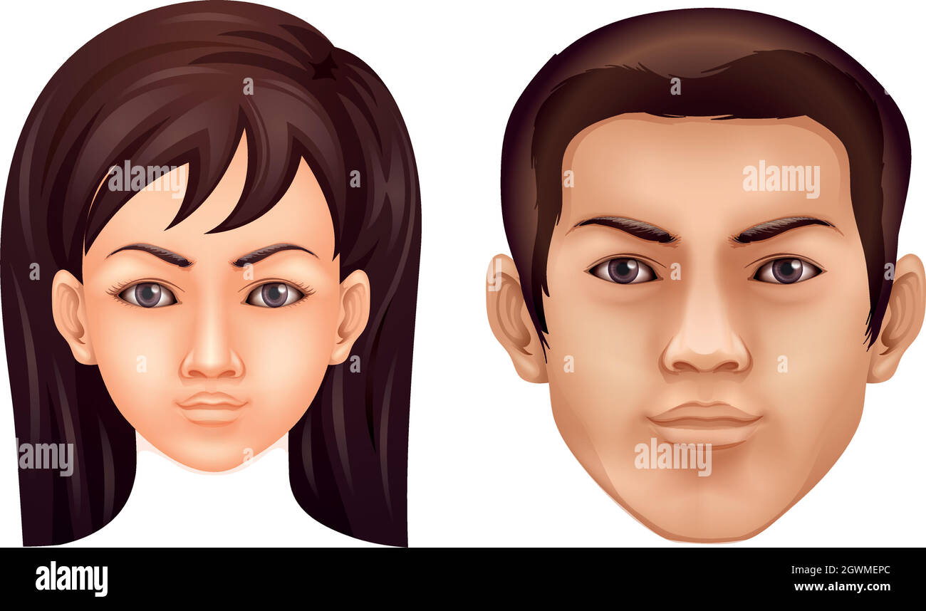 Face anatomy male hi-res stock photography and images - Alamy