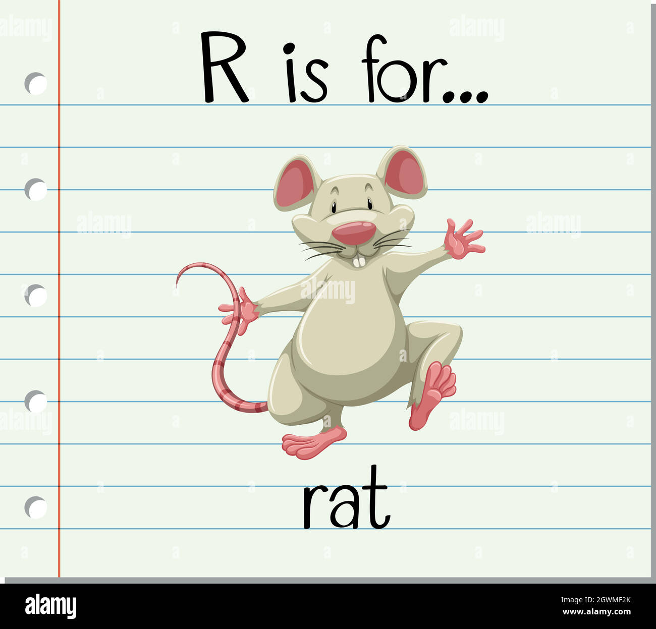 Flashcard letter R is for rat Stock Vector Image & Art - Alamy