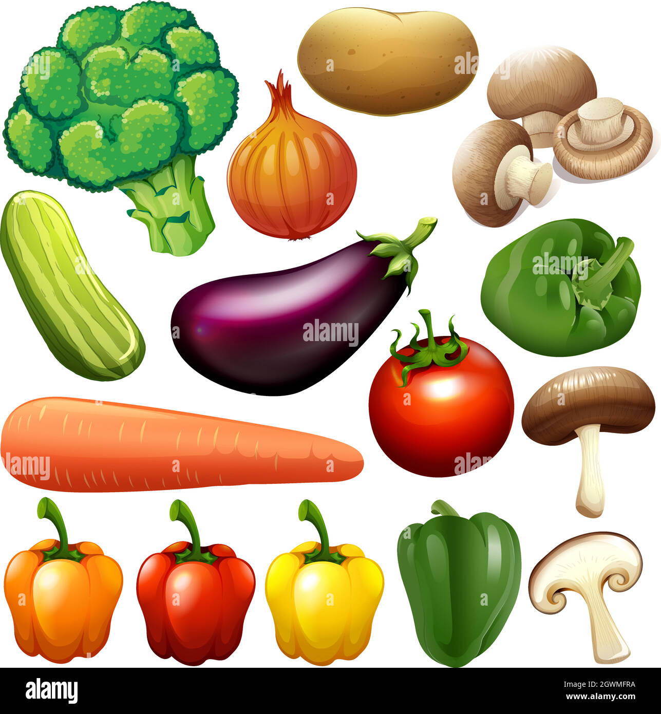 Different kind of fresh vegetables Stock Vector Image & Art - Alamy