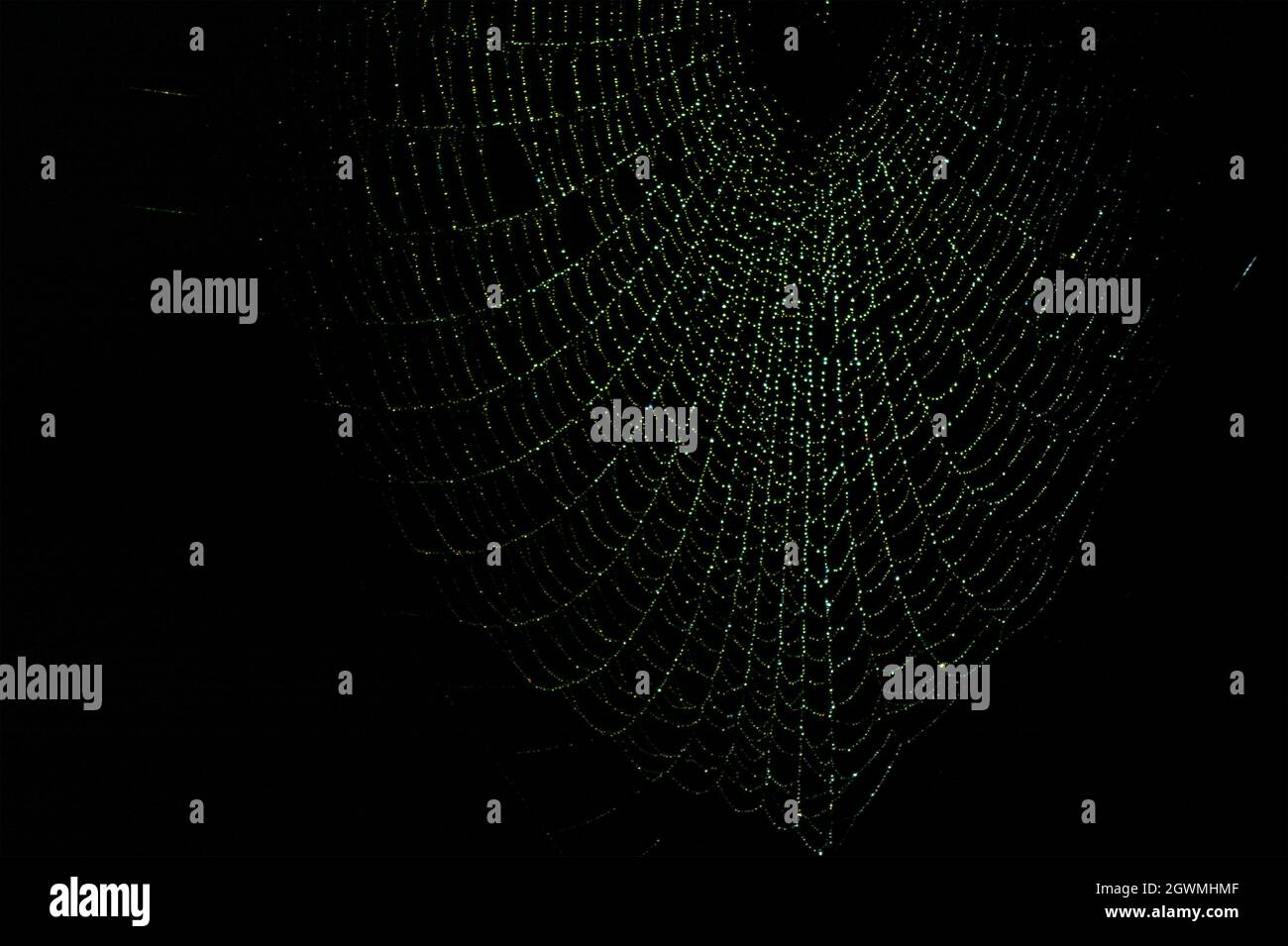Intricate intertwined network hi-res stock photography and images - Alamy