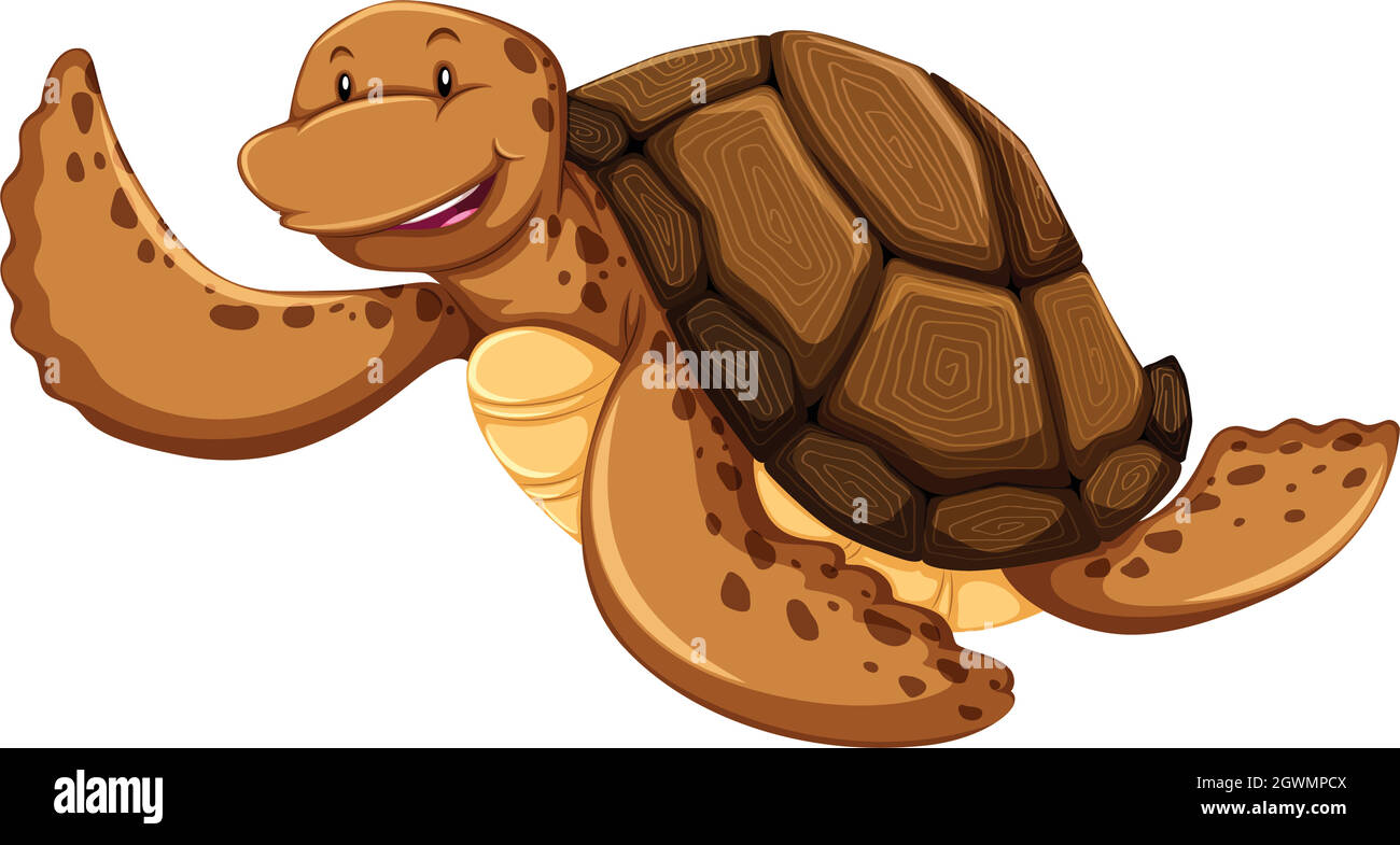 Turtle word hi-res stock photography and images - Alamy