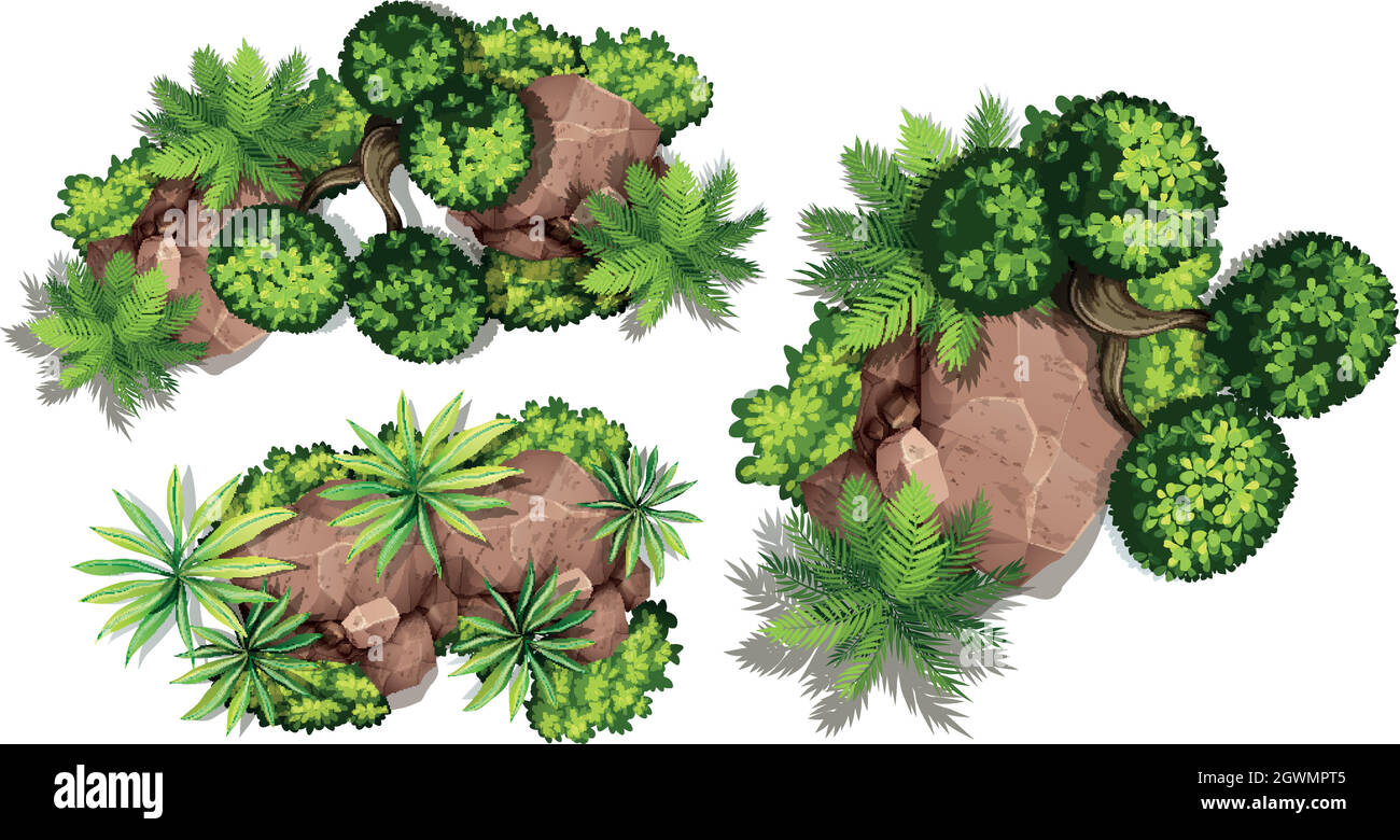 Aerial view of plants and rocks Stock Vector Image & Art - Alamy