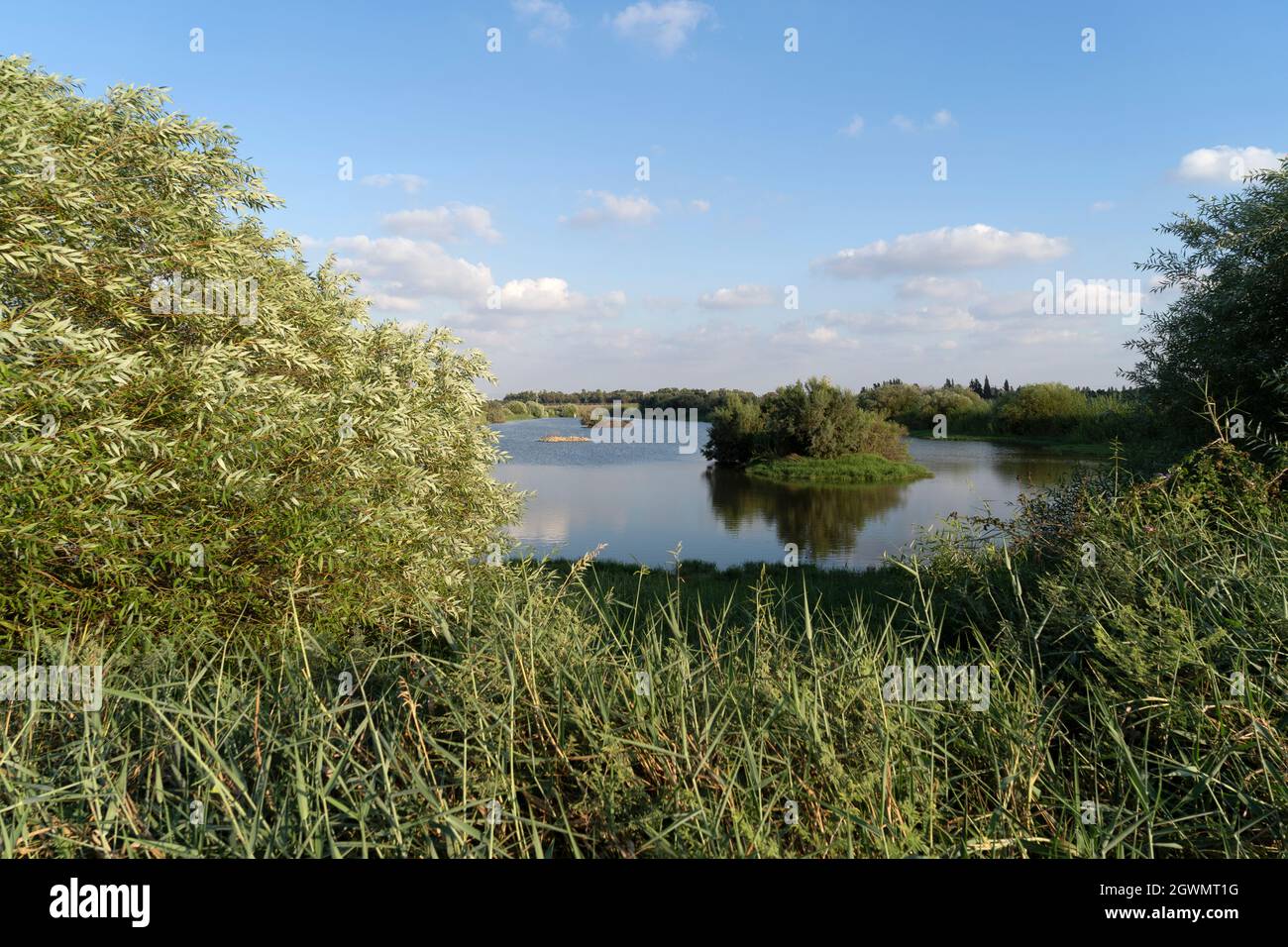 Agmon Hefer in the Hefer Valley Stock Photo - Alamy