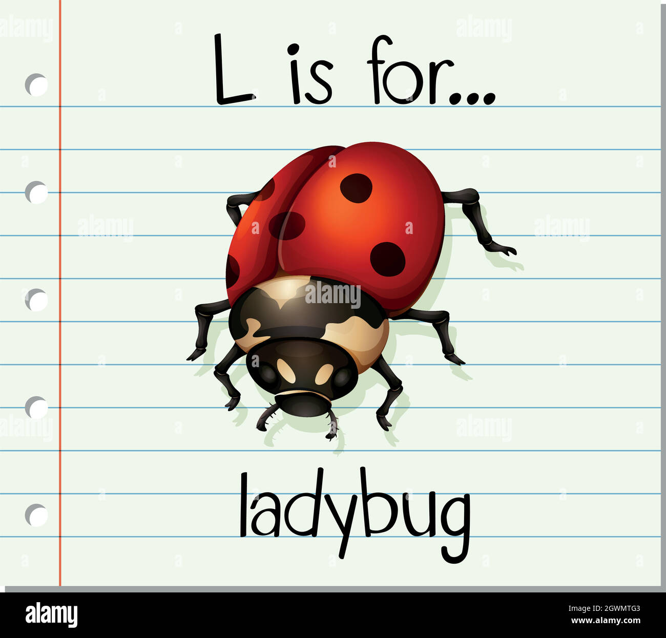 L Is For Ladybug