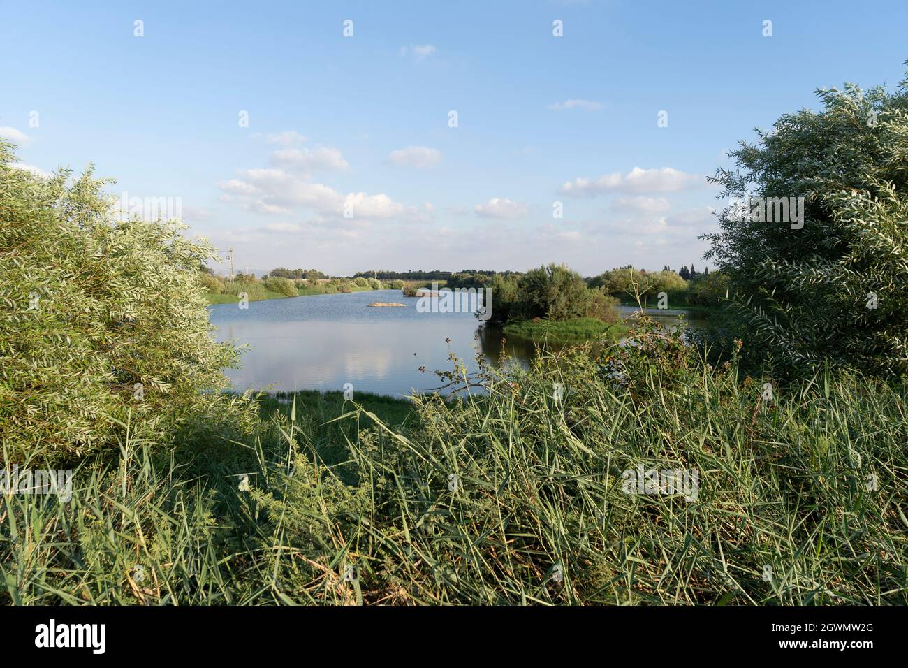 Hsharon hi-res stock photography and images - Alamy