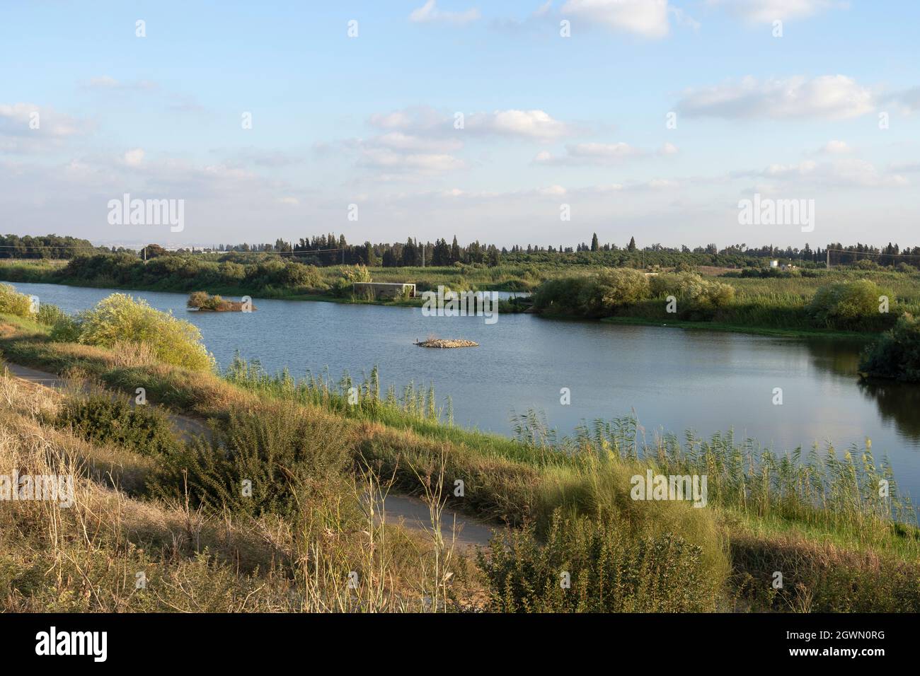 Hefer hi-res stock photography and images - Alamy