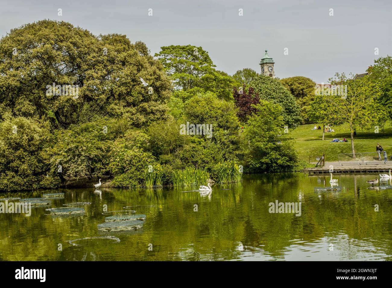 Brighton Park High Resolution Stock Photography and Images - Alamy
