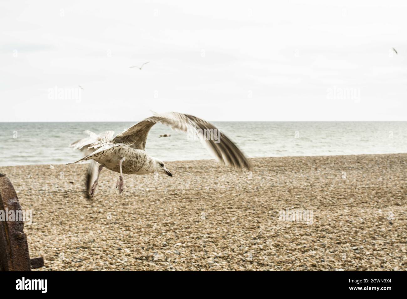 Flying beard hi-res stock photography and images - Alamy