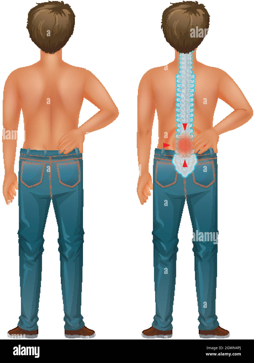 Man showing back pain on white background Stock Vector Image & Art - Alamy