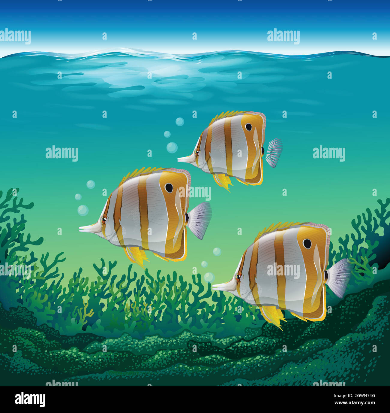 Fish seaweed Stock Vector Images - Alamy