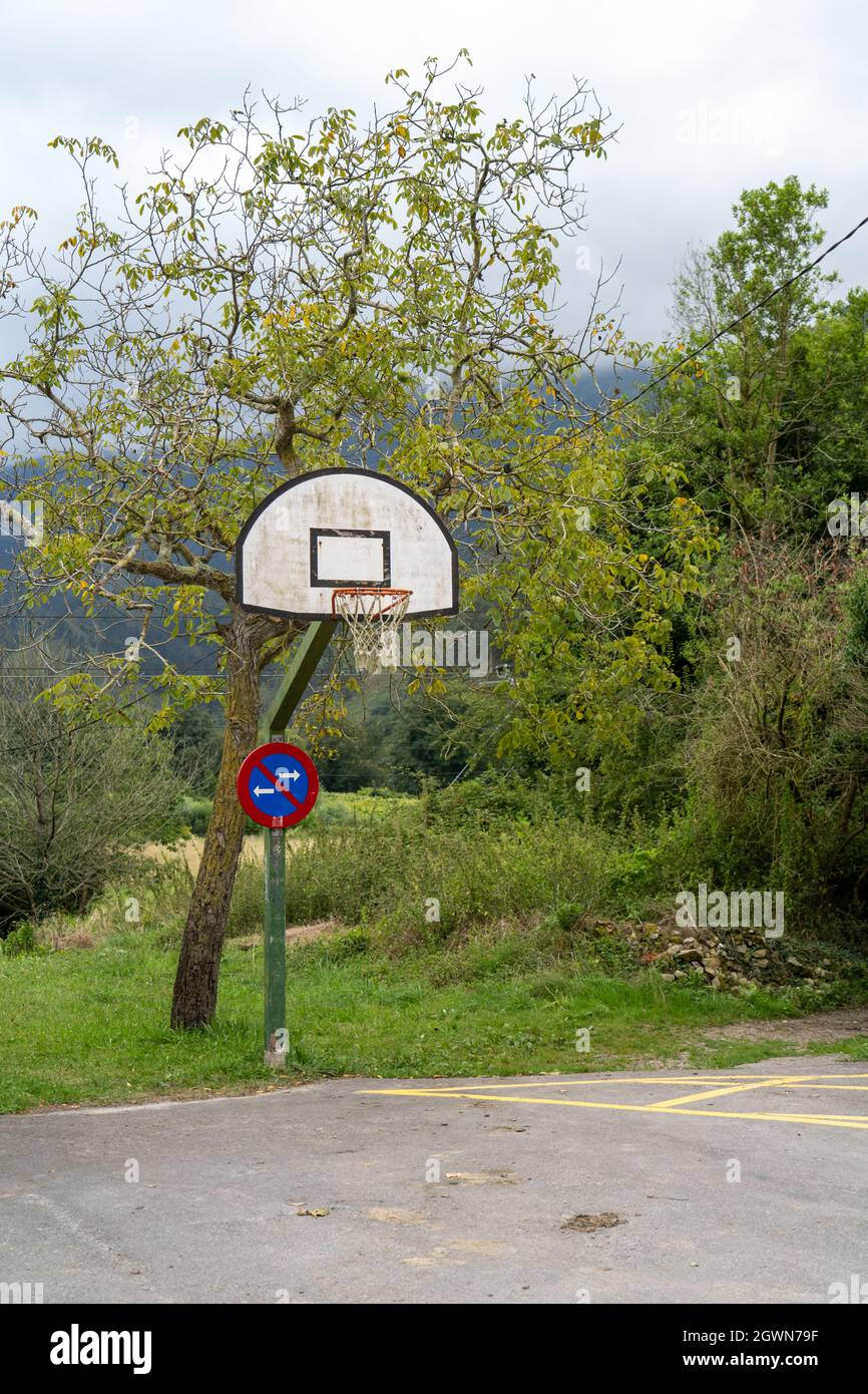 A vertical shot of a basketball hoop on the grass in front of a tree in ...