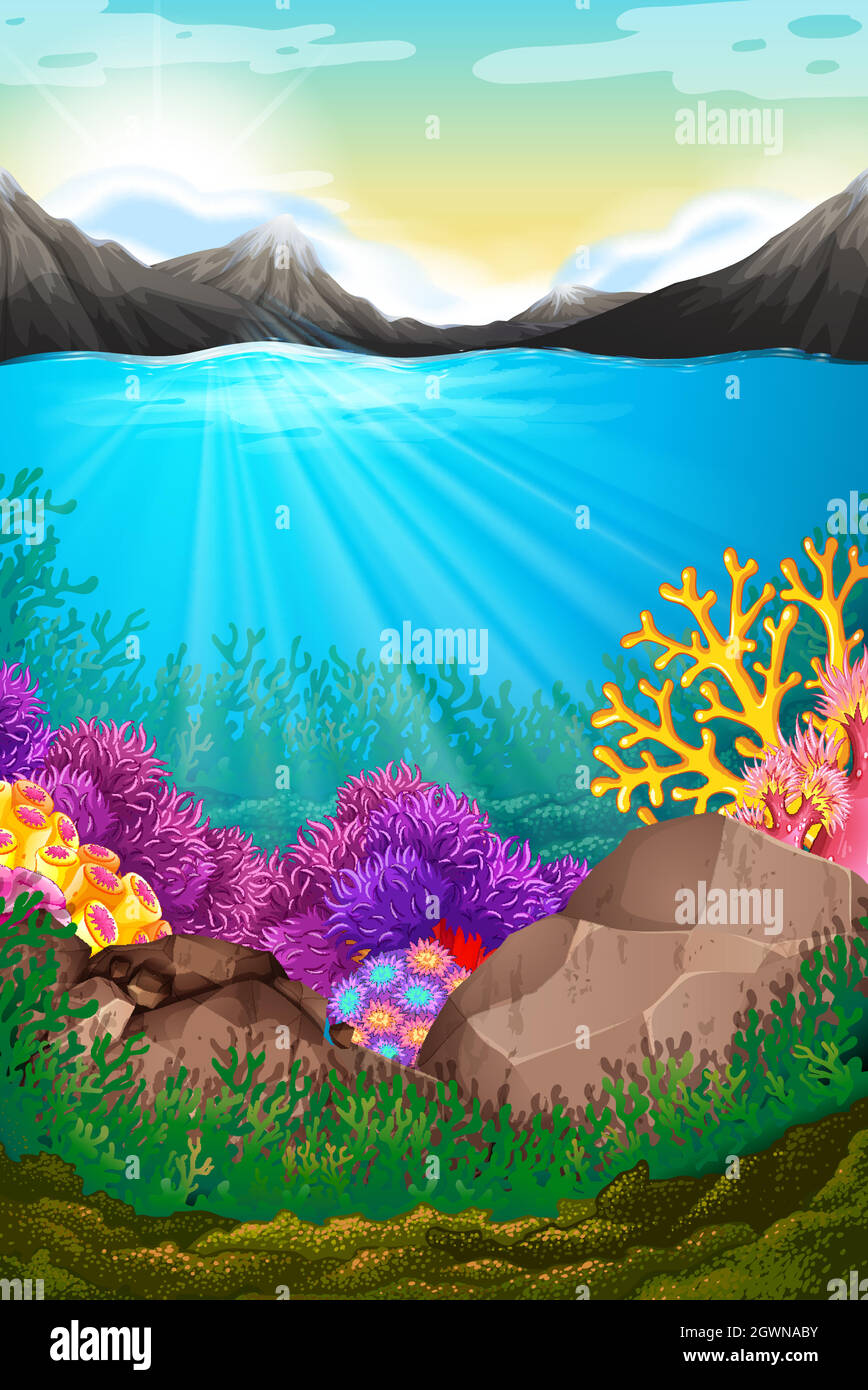 Ocean scene illustration Stock Vector Images - Alamy