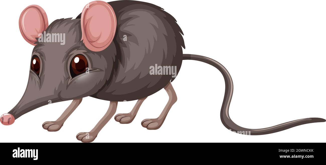 Little rat with gray fur Stock Vector Image & Art - Alamy