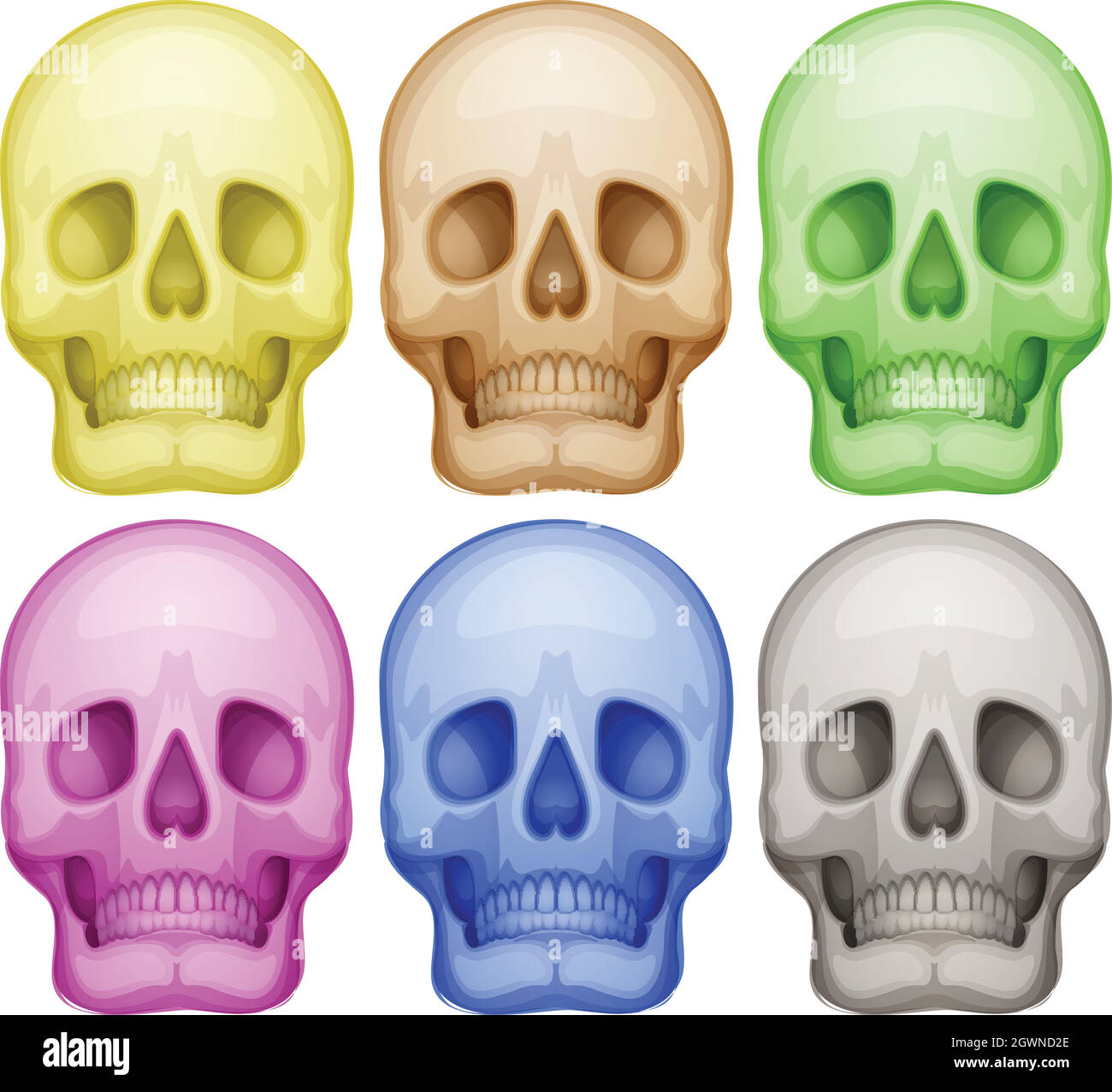 Kranion hi-res stock photography and images - Alamy