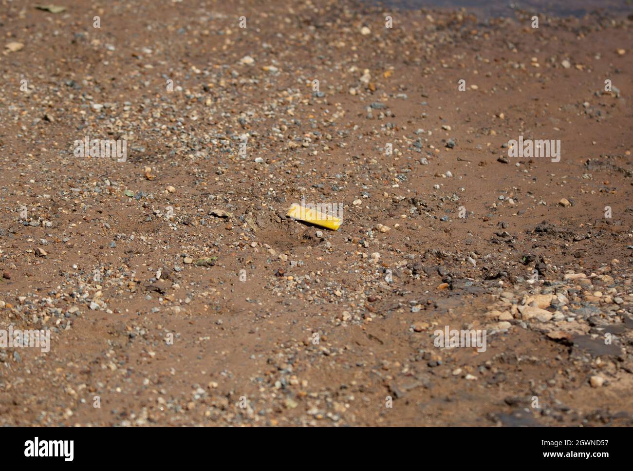 Crushed yellow ammunition shell embedded in the mud Stock Photo - Alamy