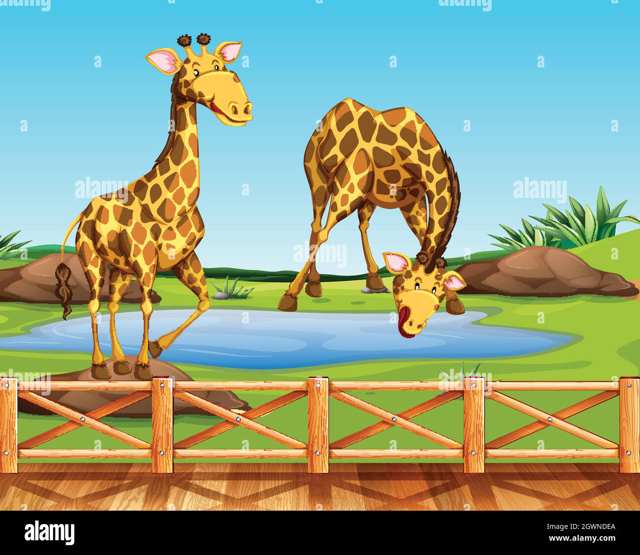 Two giraffes in a zoo Stock Vector Image & Art - Alamy