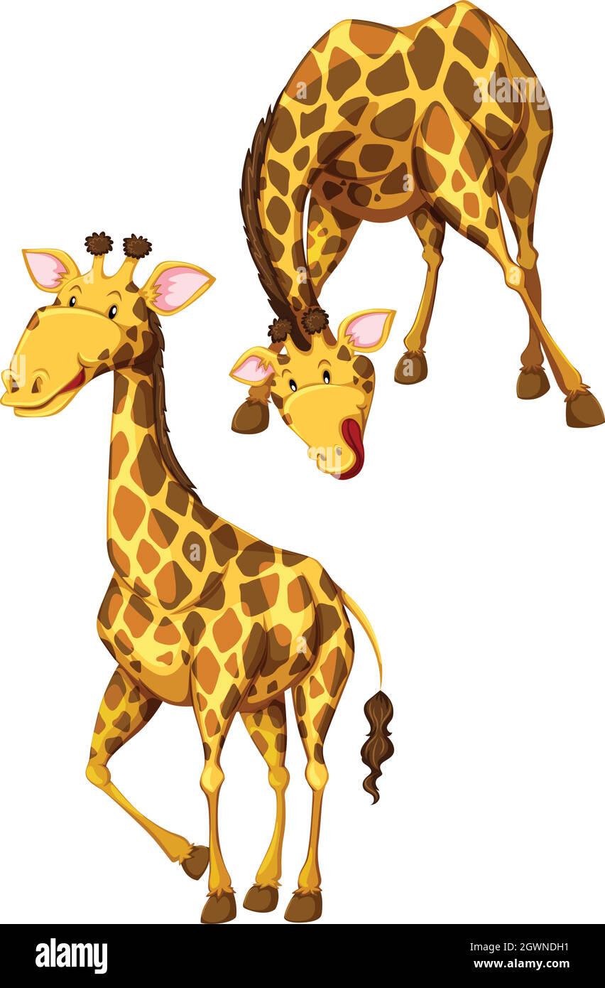 Cartoon giraffes illustration hi-res stock photography and images - Alamy