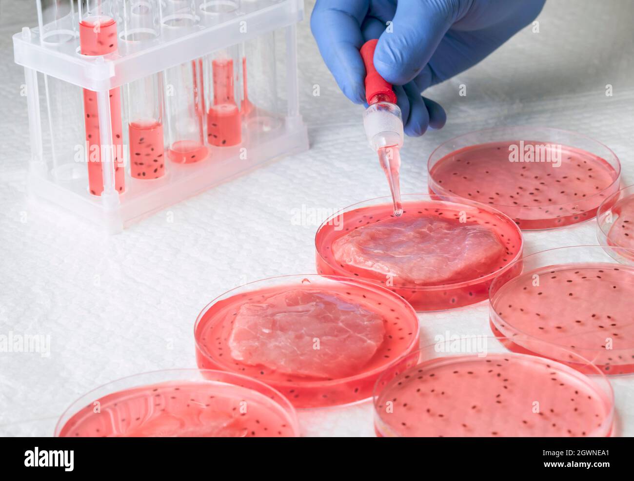 Cell cultivated meat hi-res stock photography and images - Alamy