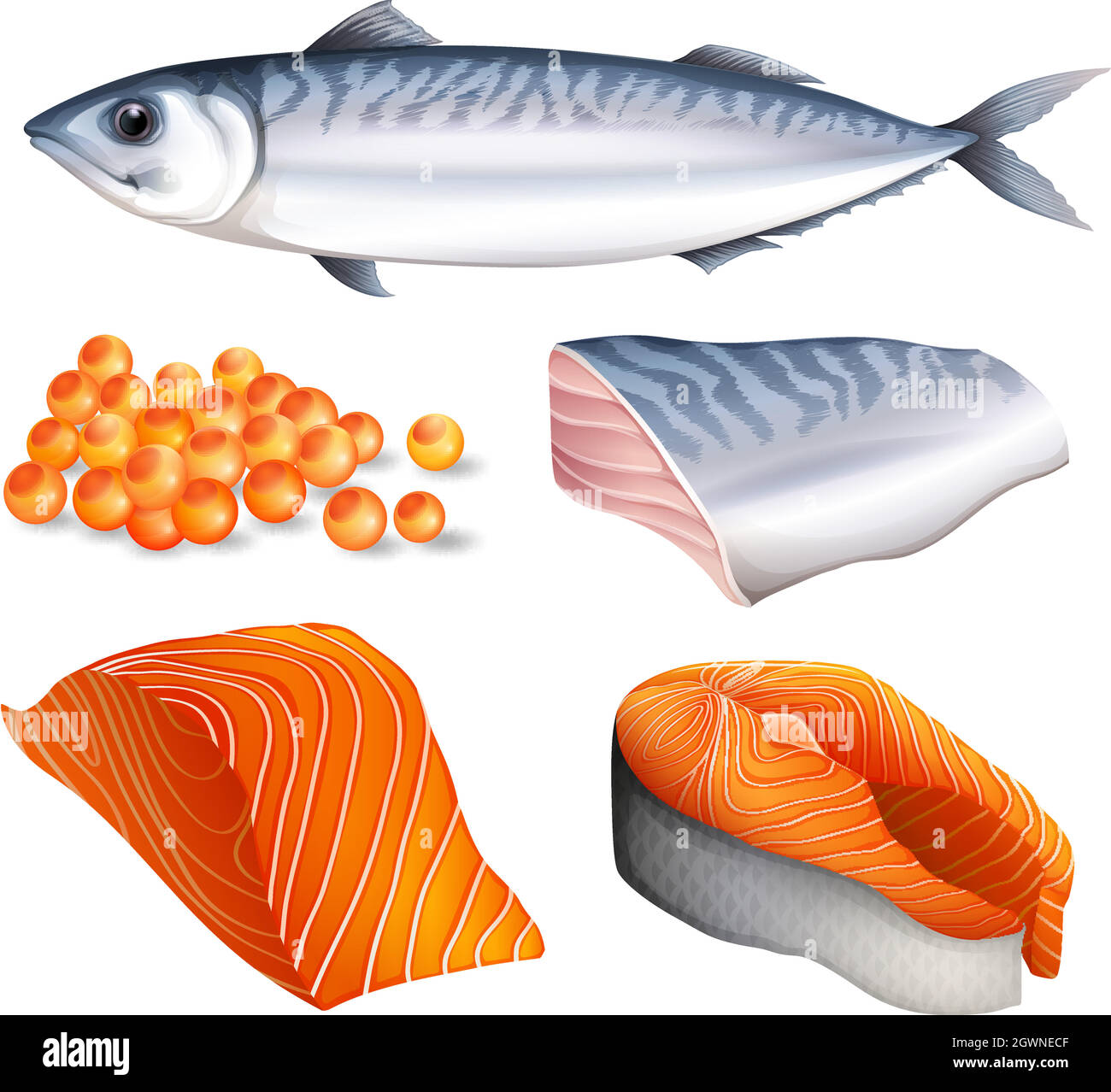 Group of salmon Stock Vector Images - Alamy