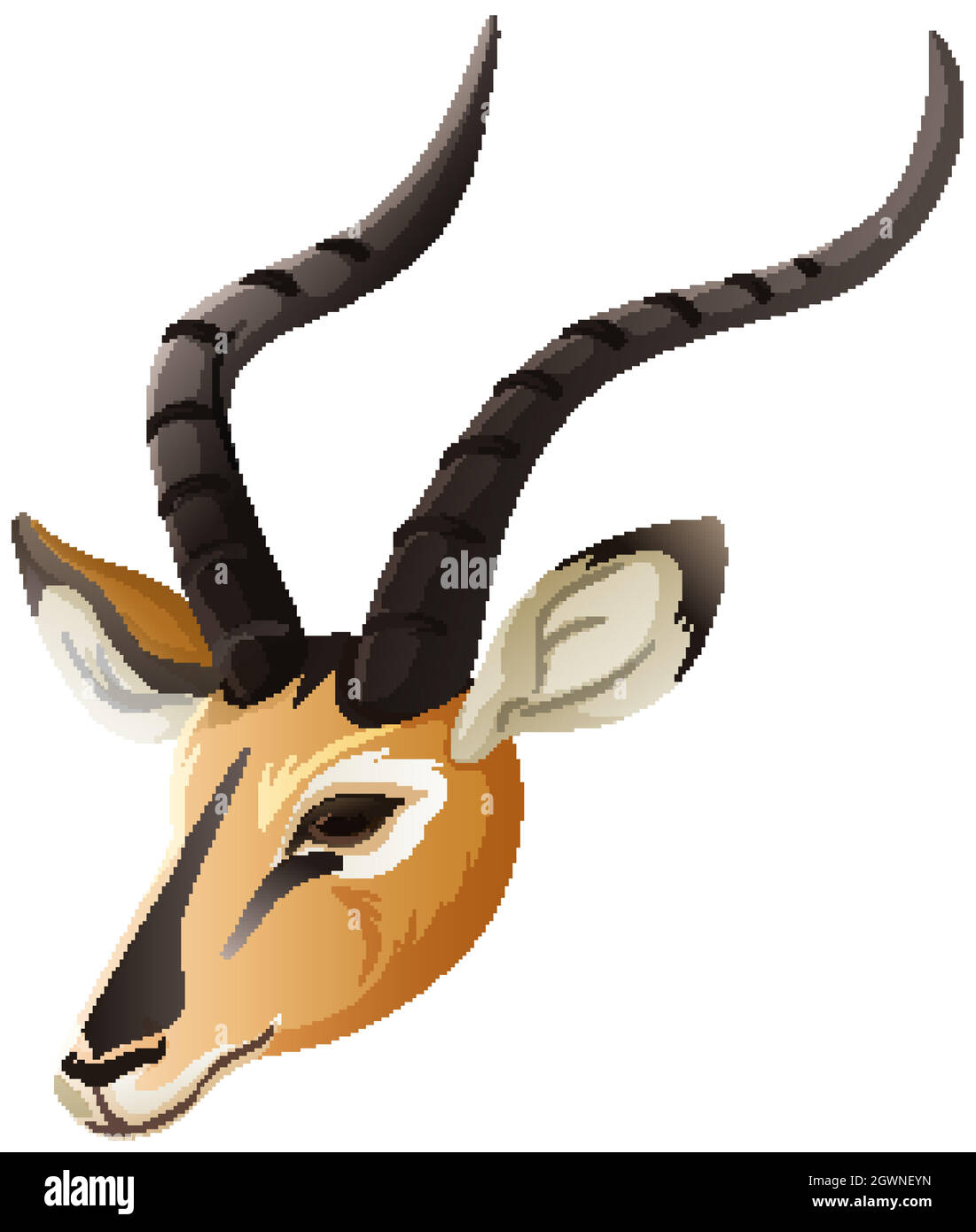 Closet clothes Stock Vector Images - Alamy