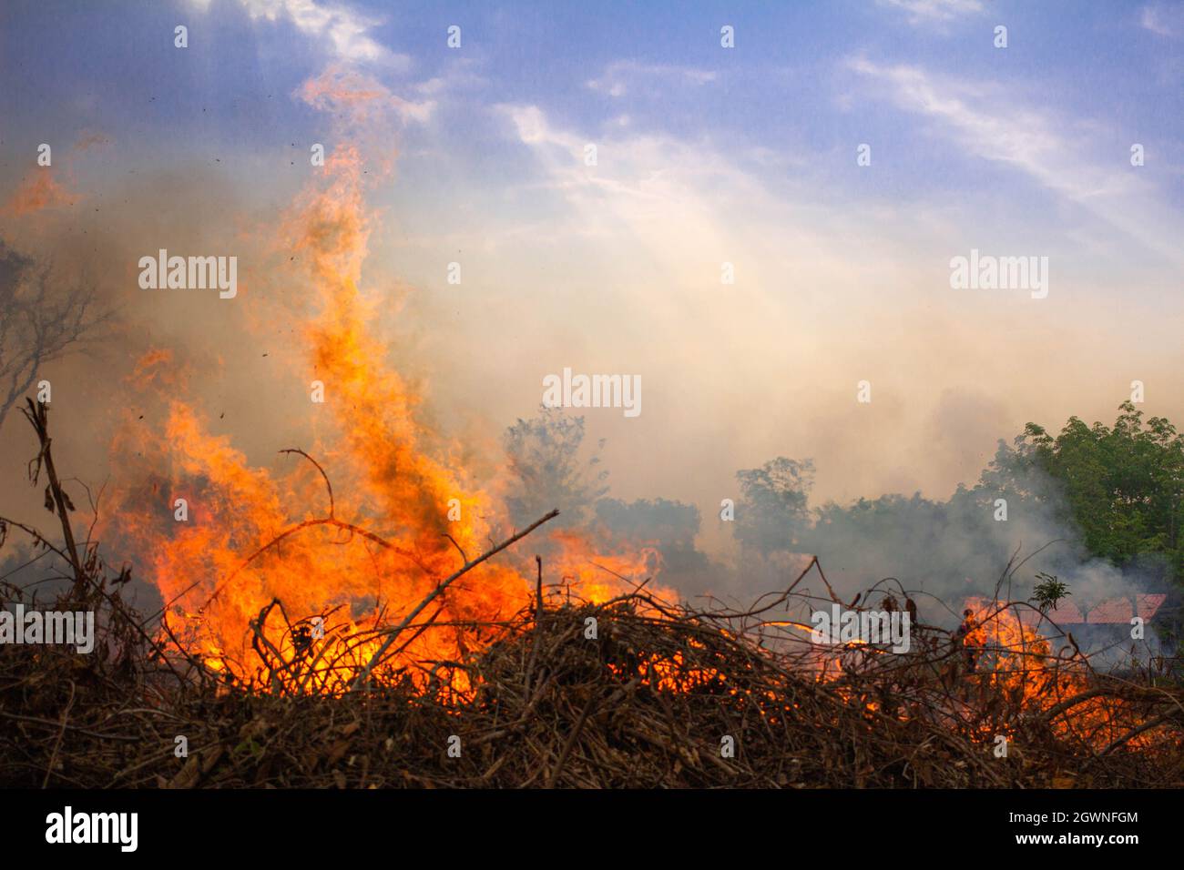 Southeast asia fire pollution hi-res stock photography and images - Alamy