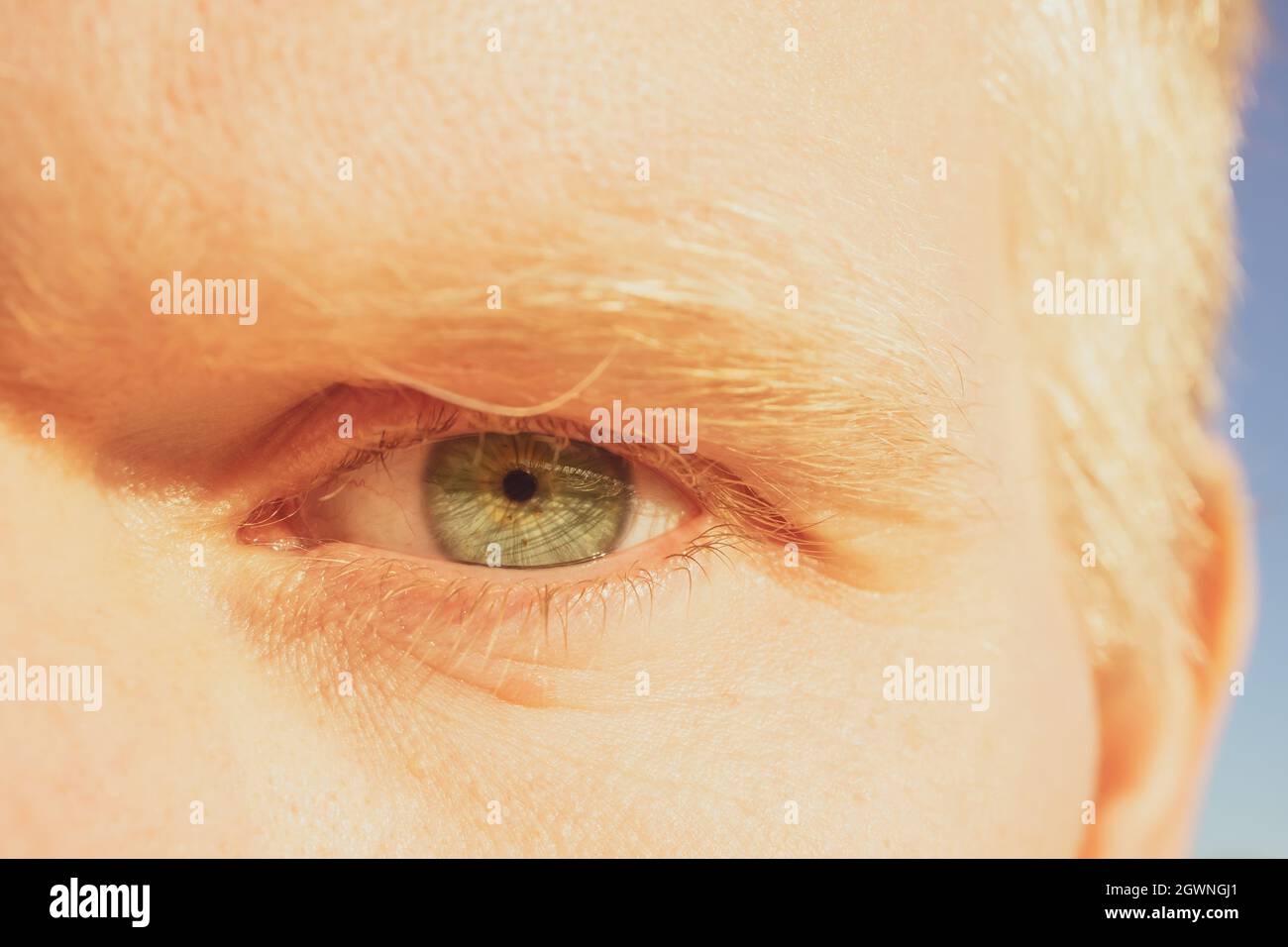 False reflection person hi-res stock photography and images - Alamy