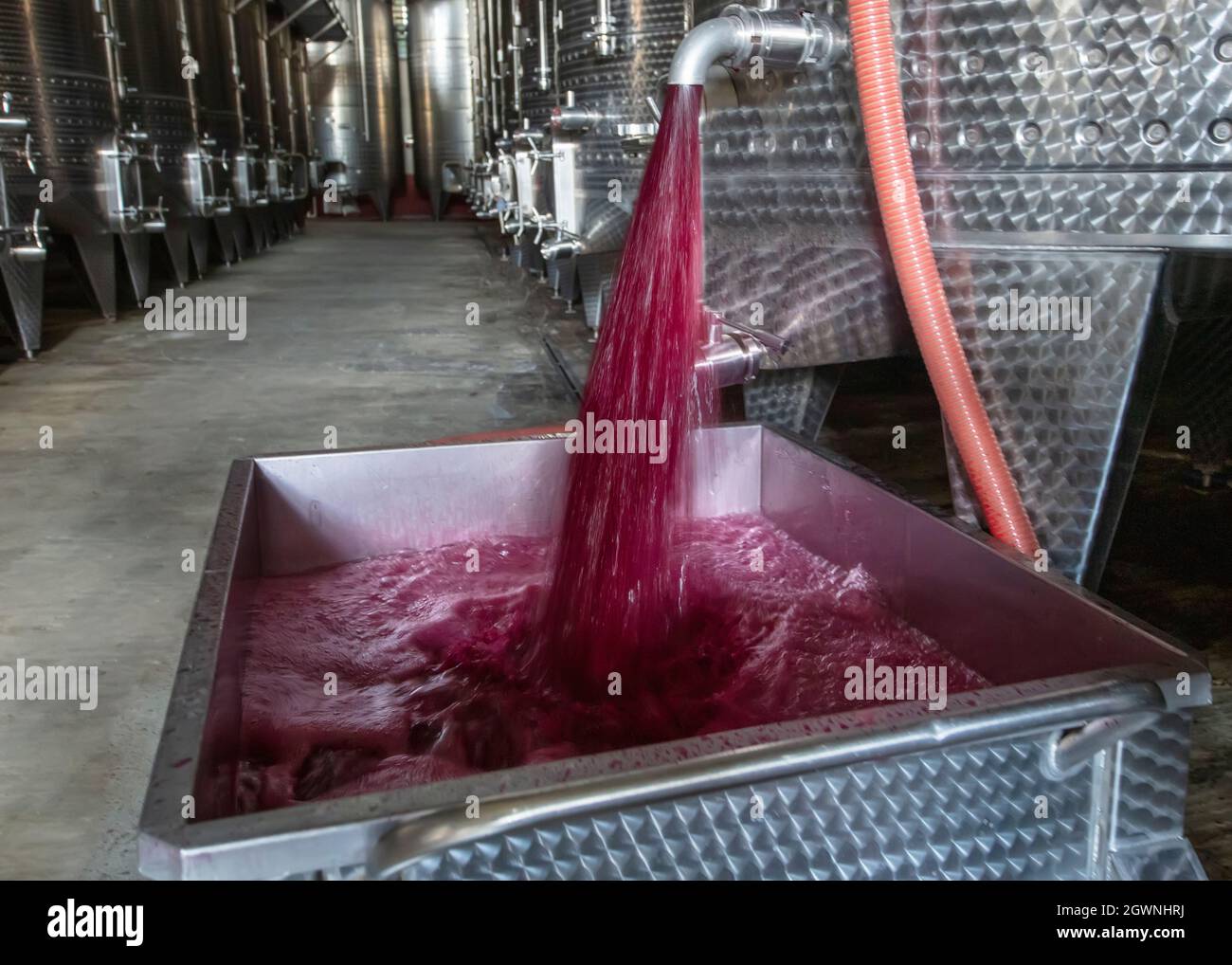 Winery producing wine, Grape ju in tank. Wine fermentation tanks. Wine ...