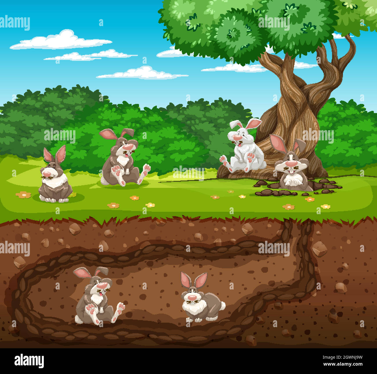 Underground animal burrow with rabbit family Stock Vector Image & Art ...