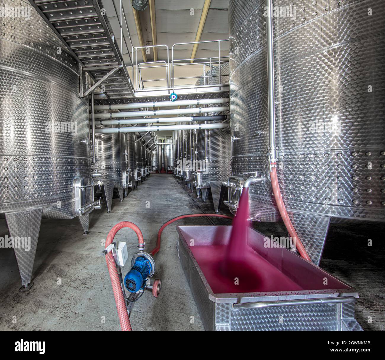 Fermentation Process Of Wine