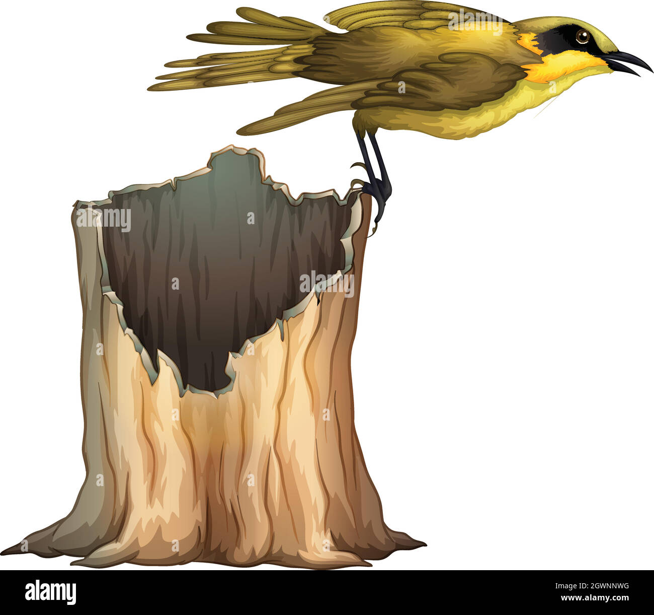 Yellow bird standing on log Stock Vector Image & Art - Alamy