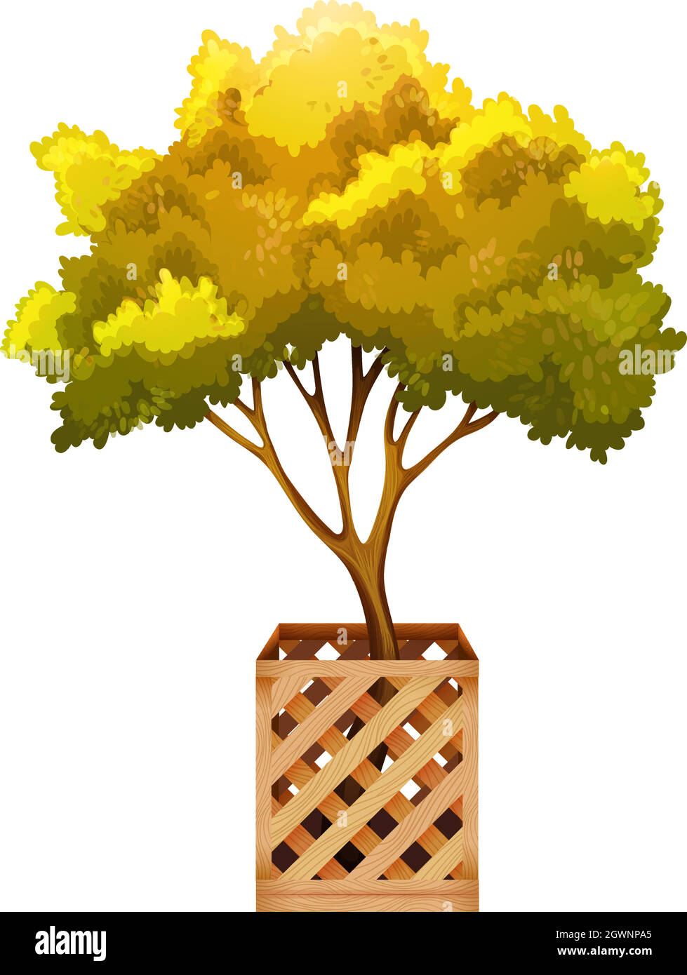 White box tree bark Stock Vector Images - Alamy