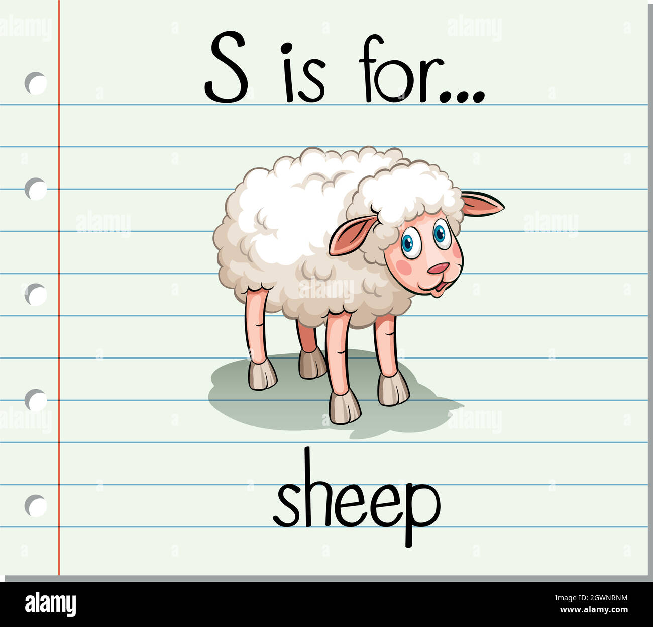 Flashcard letter S is for sheep Stock Vector Image & Art - Alamy