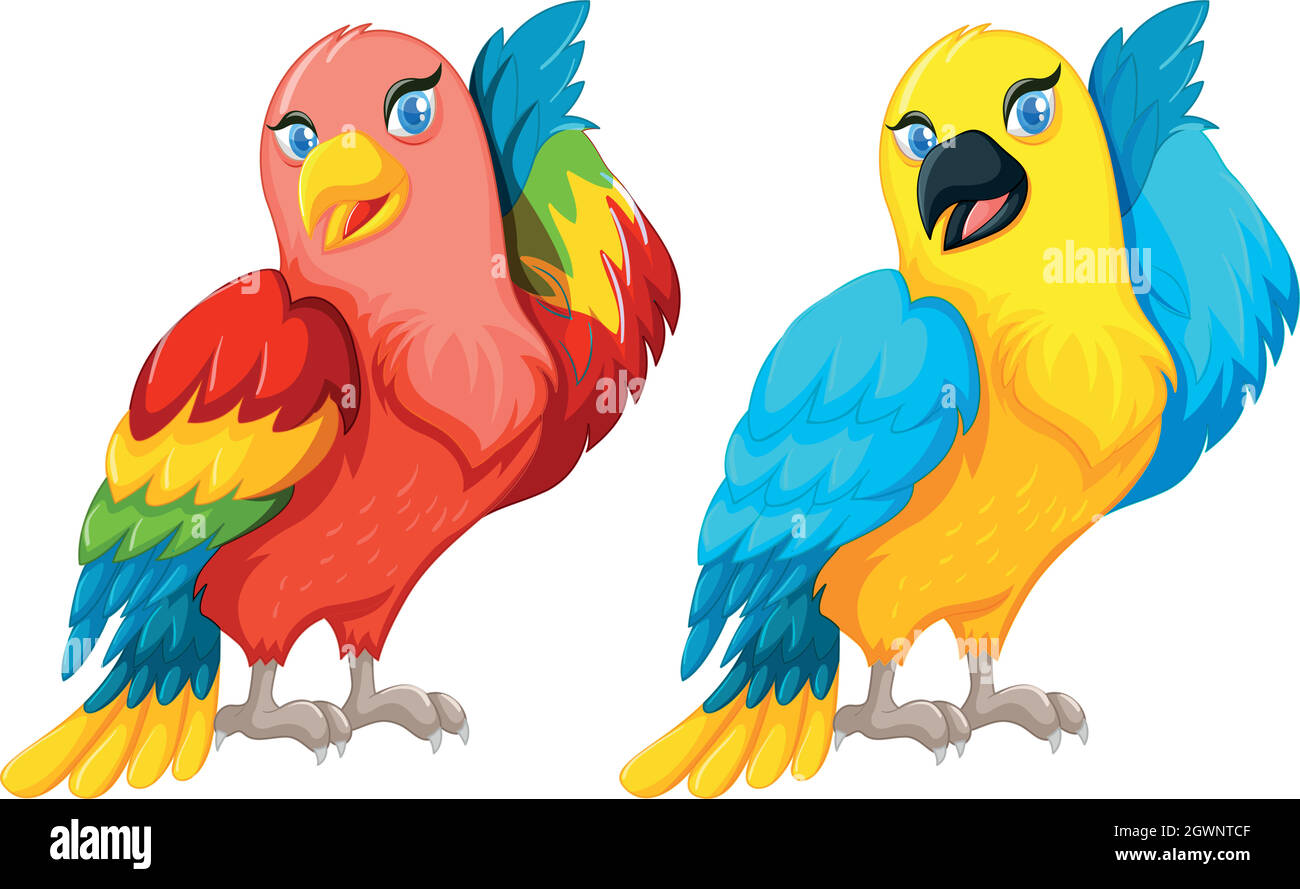 Two parrot birds with colorful feather Stock Vector Image & Art - Alamy