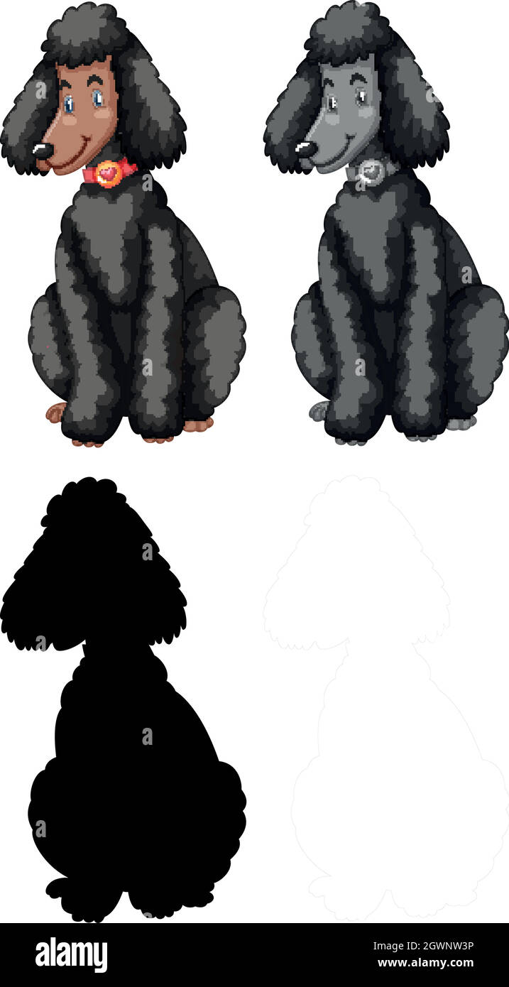 Set of poodle character Stock Vector Image & Art - Alamy