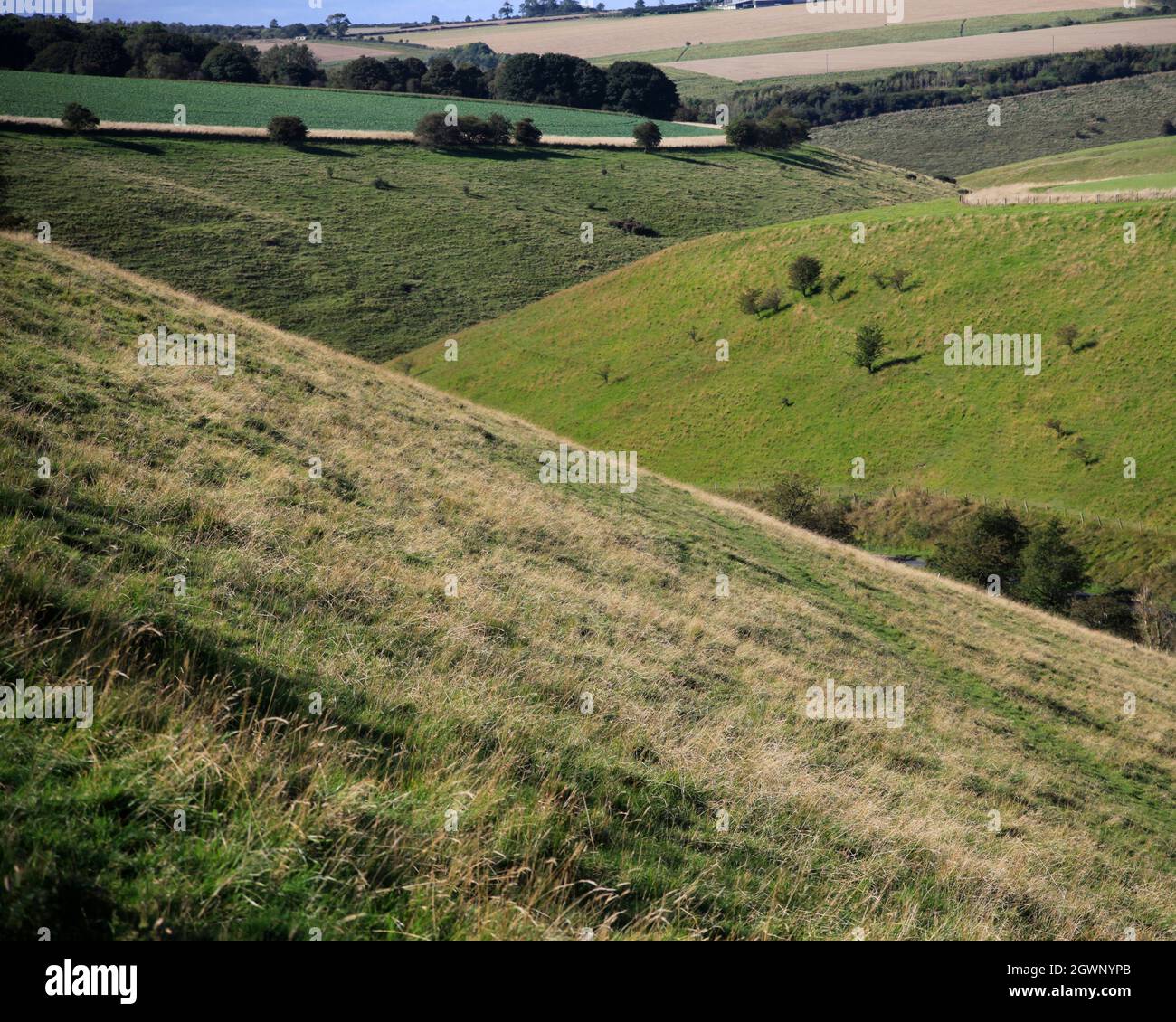 Dry valley with steep slopes in landscape near Huggate East Yorkshire ...