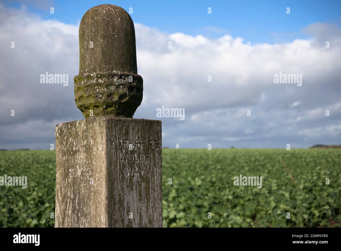 Yorkshire Wolds Way sign, footpath walking in landscape near Huggate ...