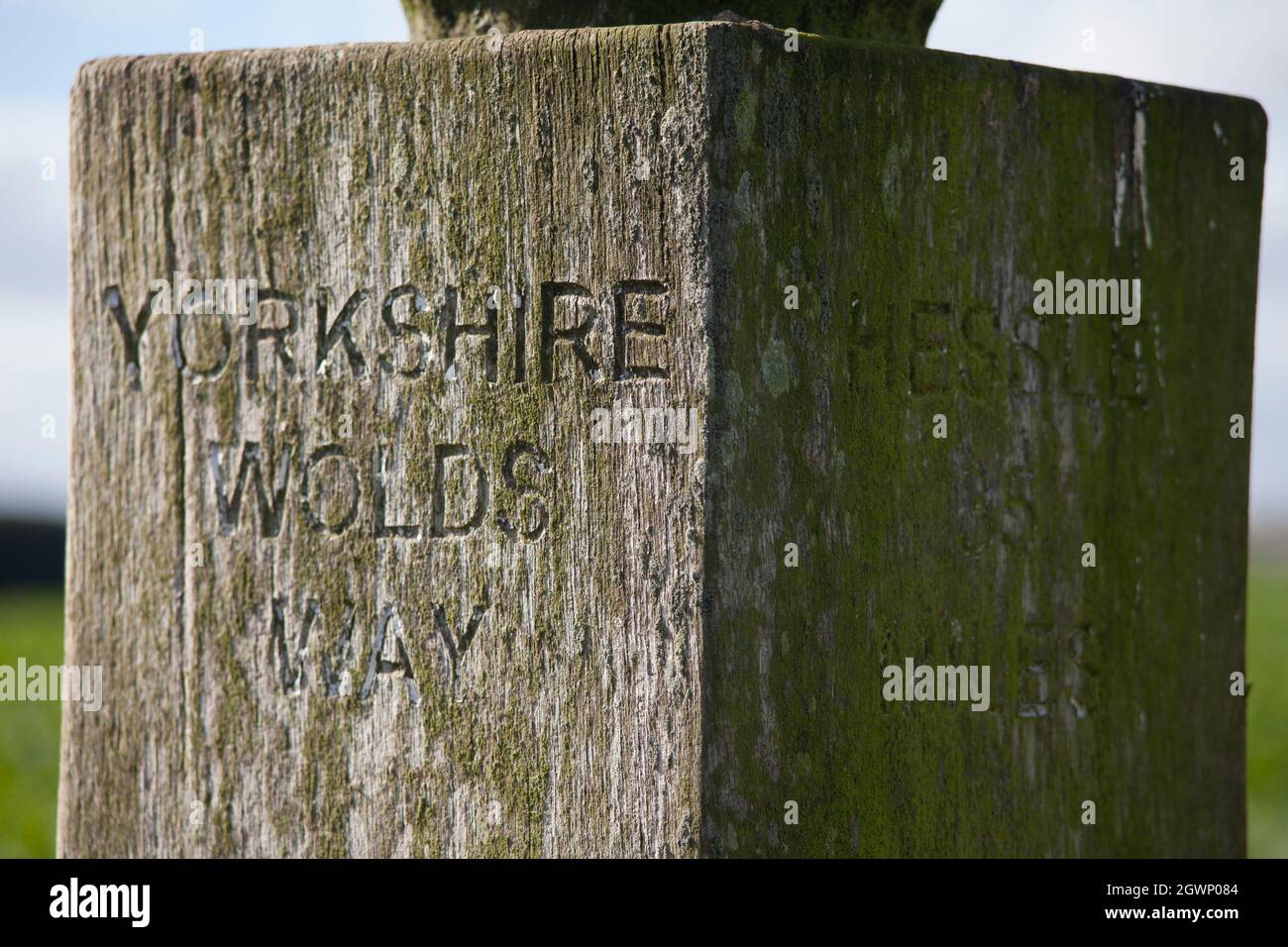 Yorkshire Wolds Way sign, footpath walking in landscape near Huggate ...