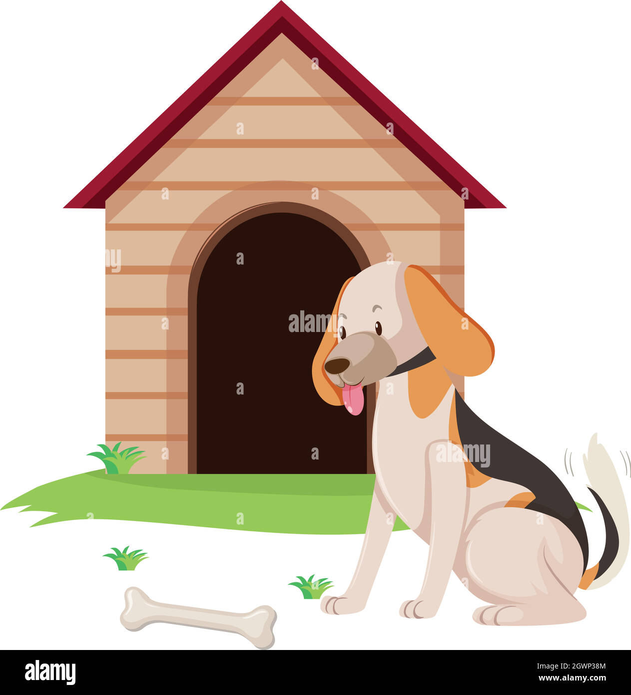 Isolated white bone pet Stock Vector Images - Alamy