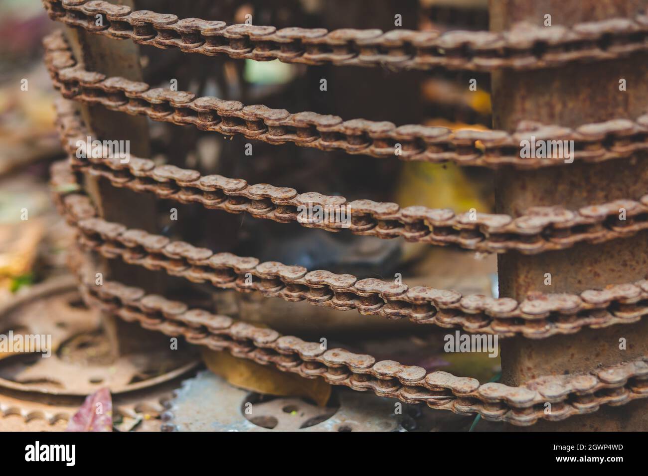 Food chain cycle hi-res stock photography and images - Alamy