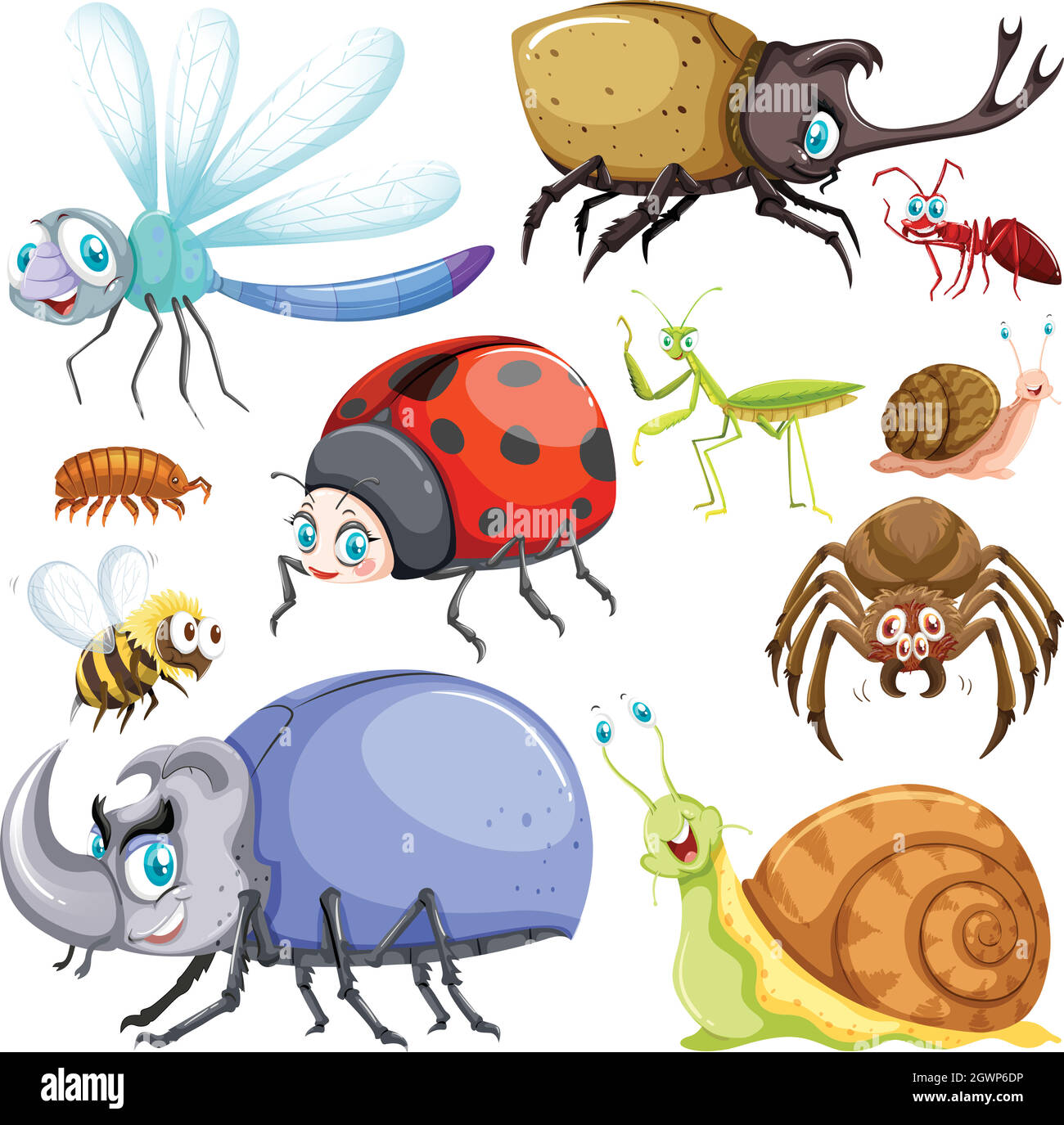 Exotic insects collection Stock Vector Images - Alamy