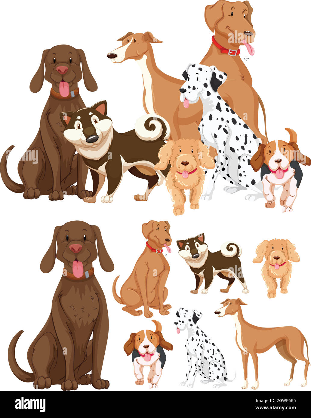 Many types of dogs Stock Vector Image & Art - Alamy