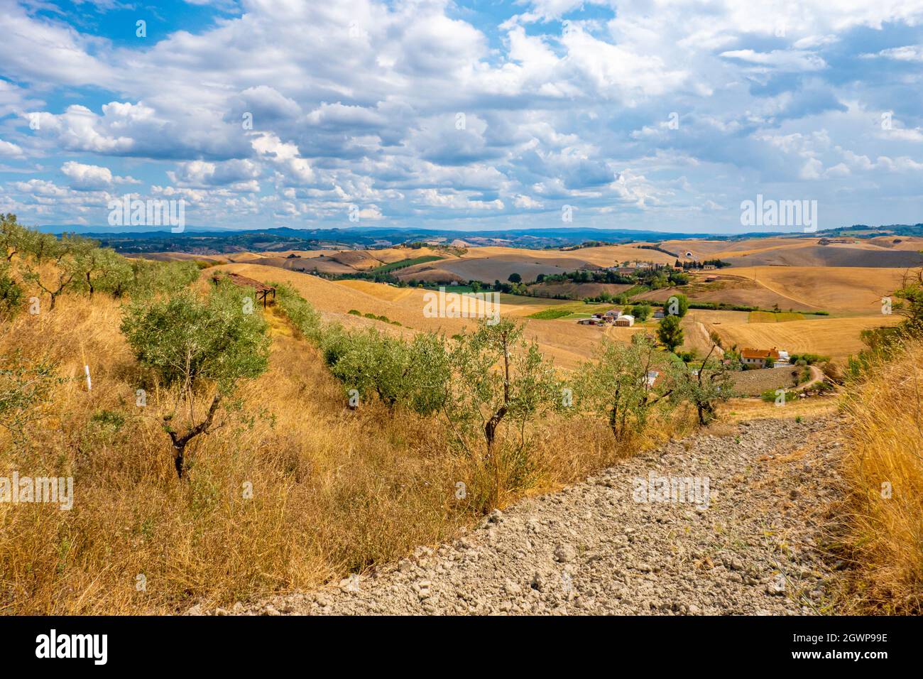 Landscape along via Francigena between San Miniato and Gambassi Terme ...