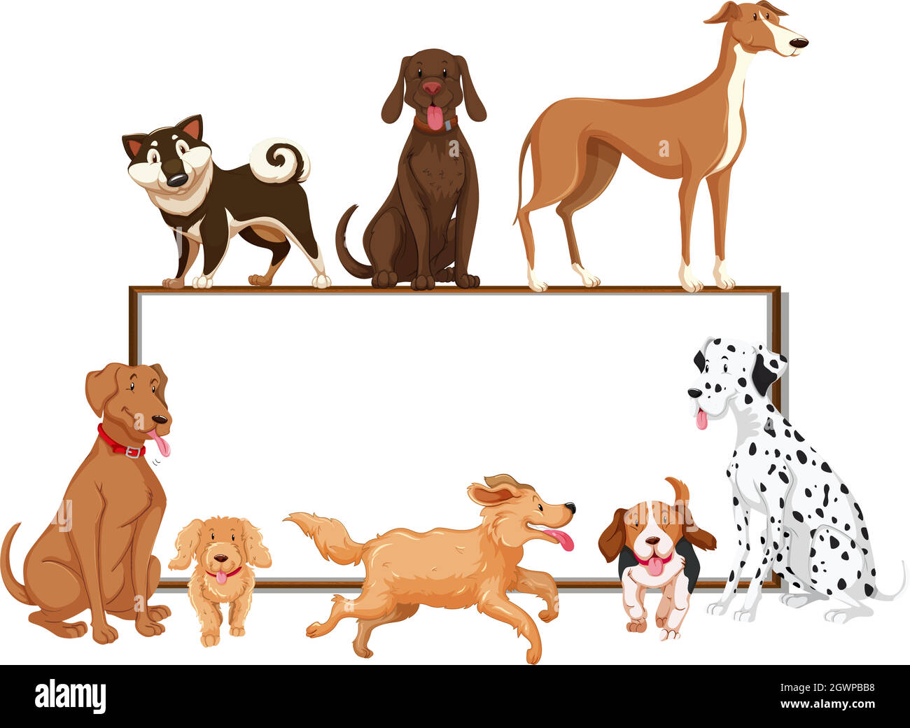 Pet board hi-res stock photography and images - Alamy